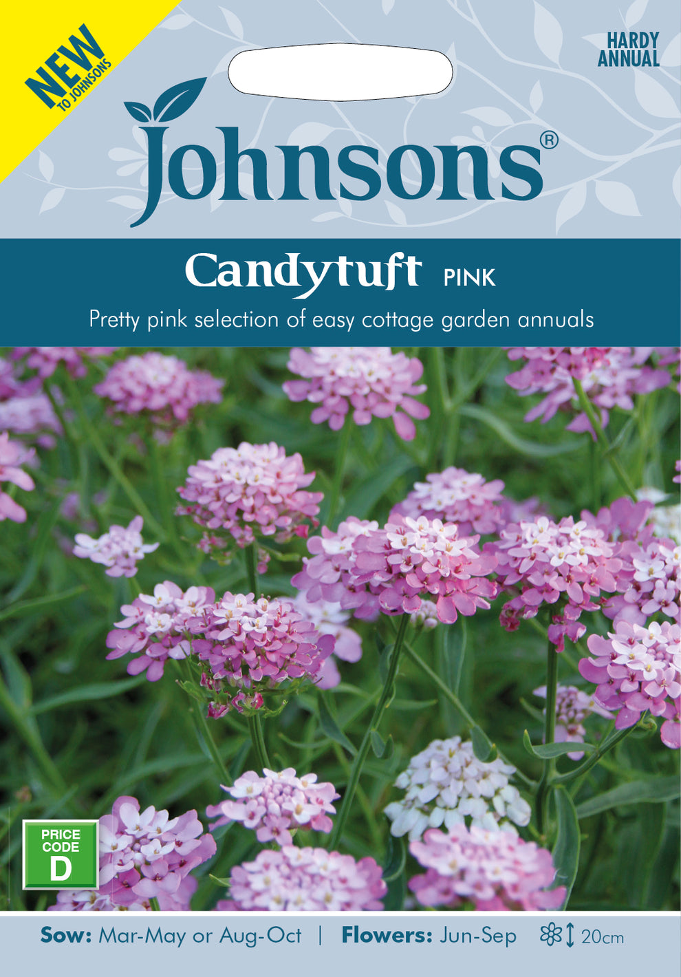 CANDYTUFT Pink – Azure Garden Centre